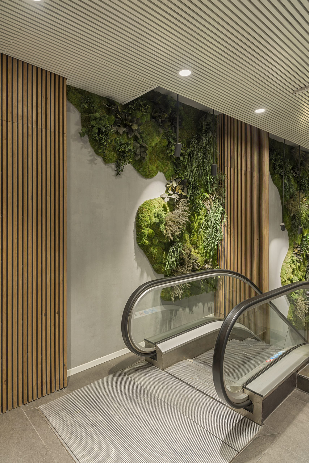 The Plaza – Studio Moda